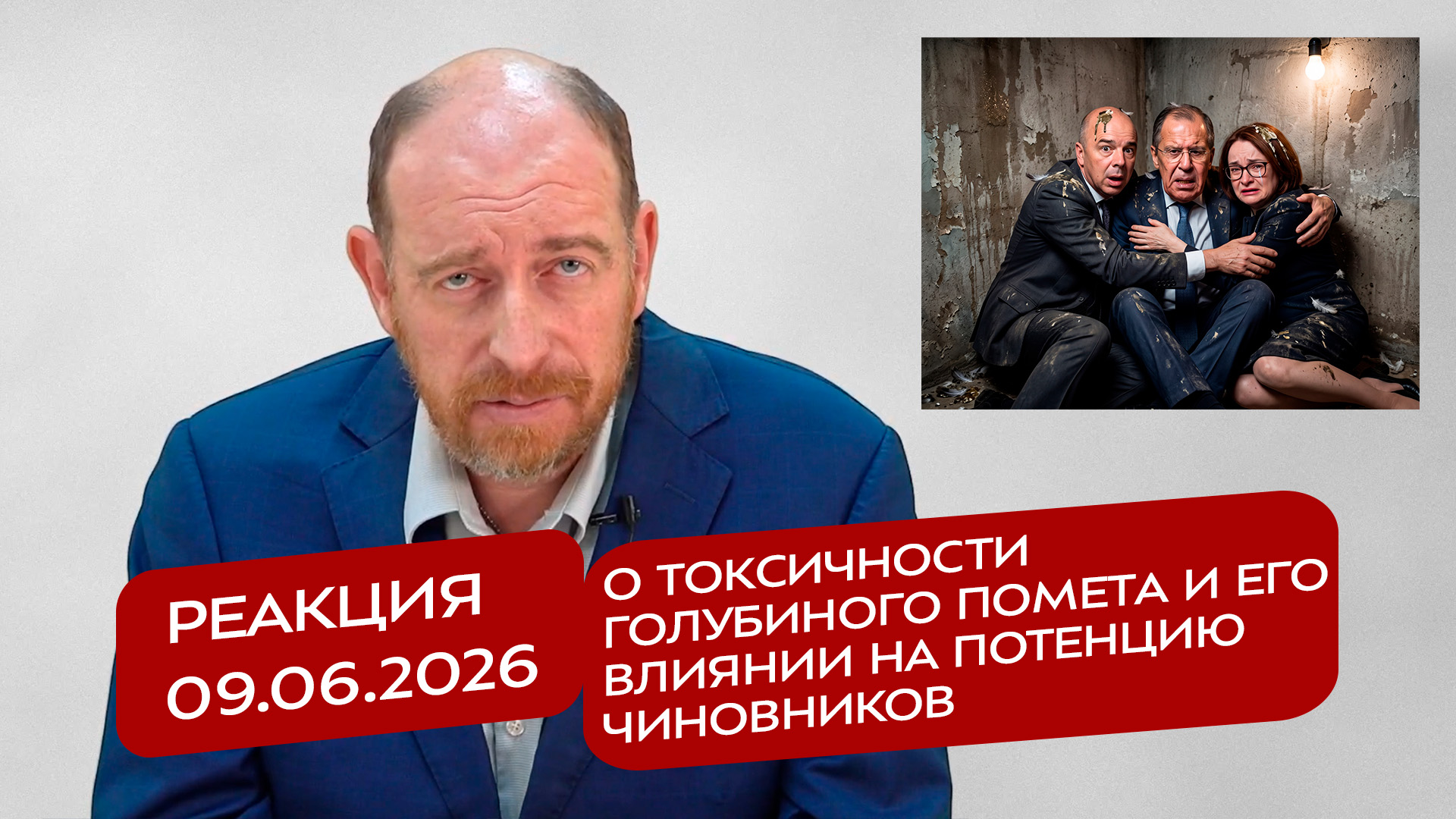 Реакция 9.06.2026 О токсичности голубиного помета и его влиянии на ...
